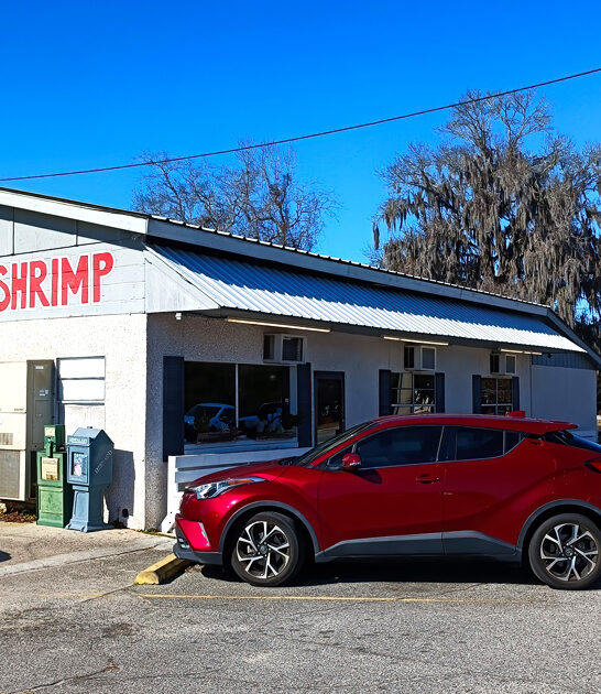 seafood restaurants georgia drive ftr