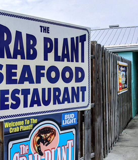 seafood shack florida clam ftr