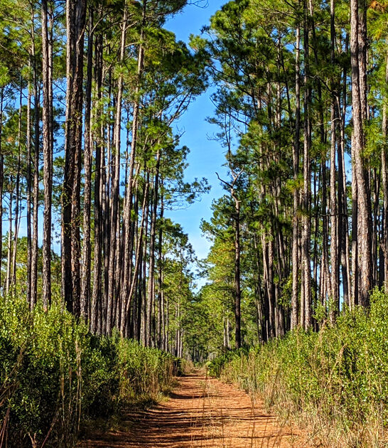 secluded park florida secrets ftr