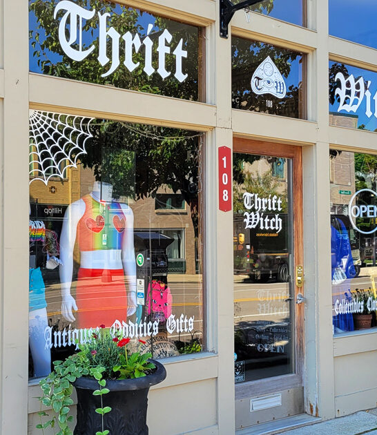 secondhand dream shop michigan ftr