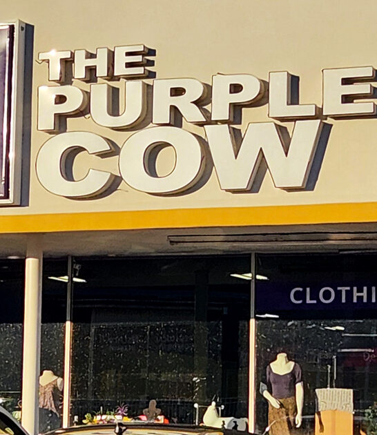 secondhand louisiana shopping experience ftr