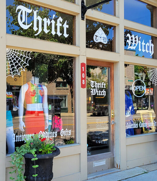 secondhand treasure shop michigan ftr