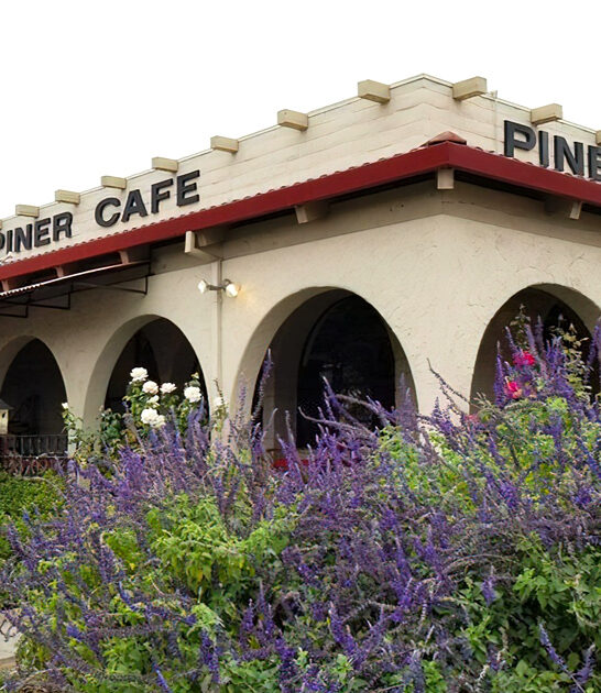 secret breakfast diner california ftr