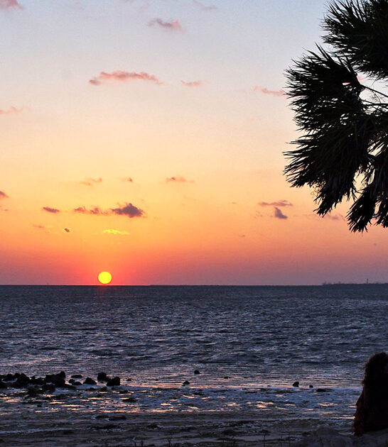 serene florida dreamy beach ftr