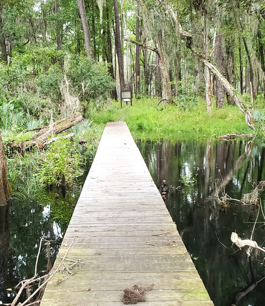 serene park georgia nature ftr