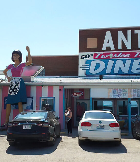 shop antique enormous illinois ftr