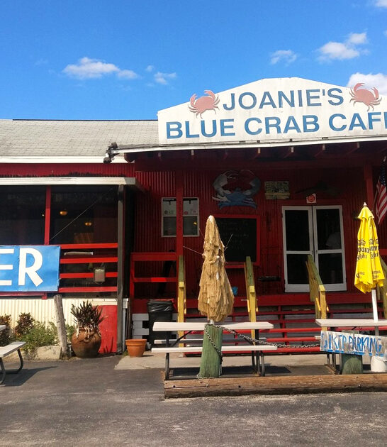 simple crab house florida ftr