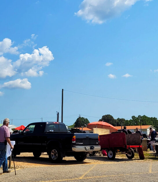 south carolina amazing market ftr