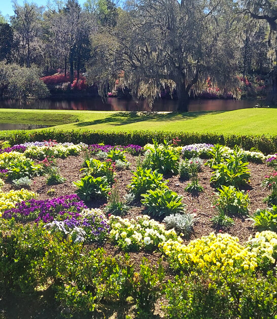 south carolina flower haven ftr