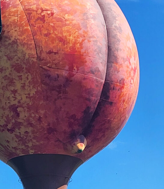 south carolina gigantic roadside ftr