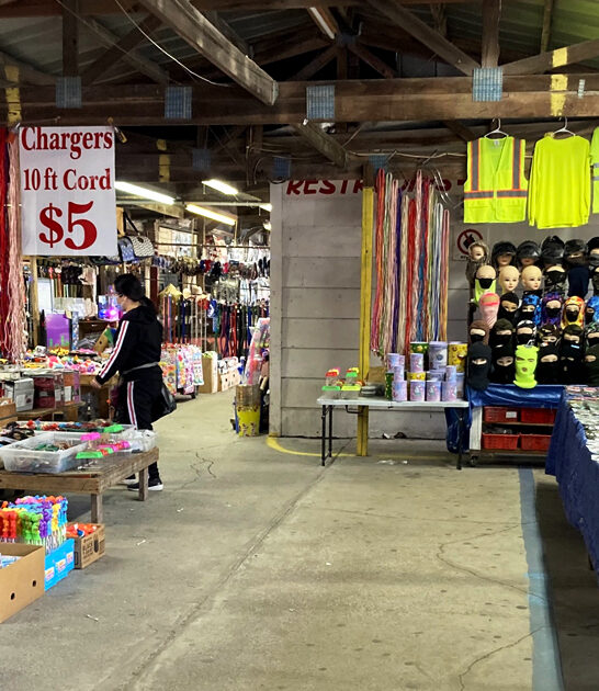 south carolina huge flea ftr