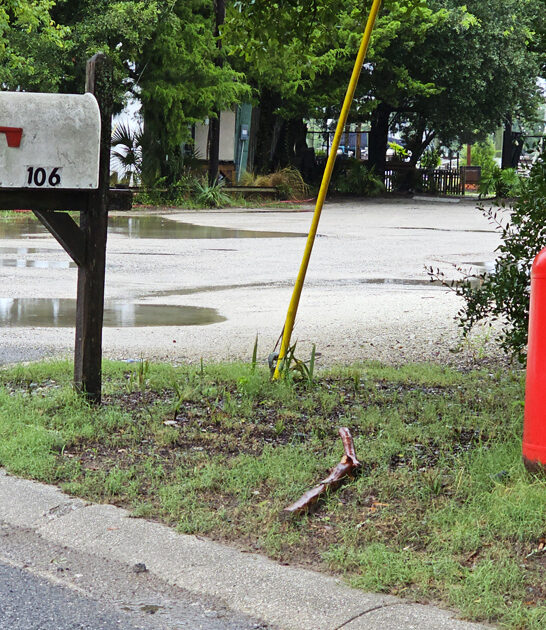 south carolina soup crab ftr