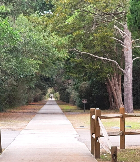 south carolina state park ftr