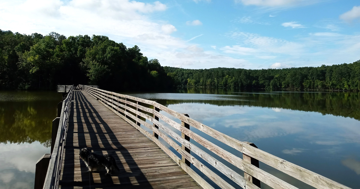 This 520-Acre State Park In South Carolina Is So Little Known, You’ll ...