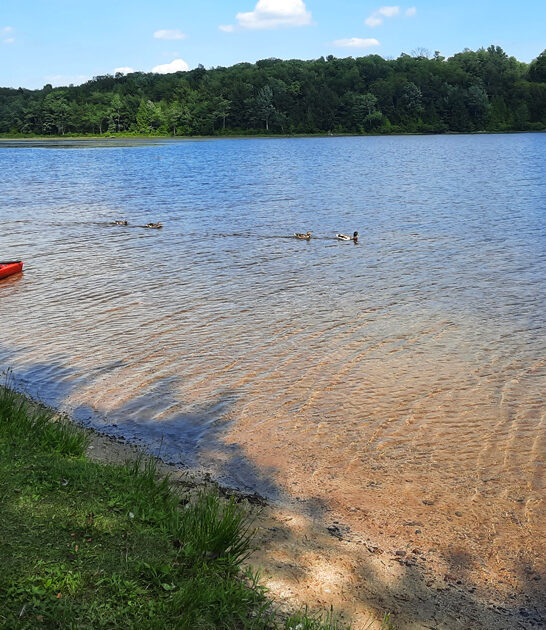 spectacular pennsylvania state park ftr