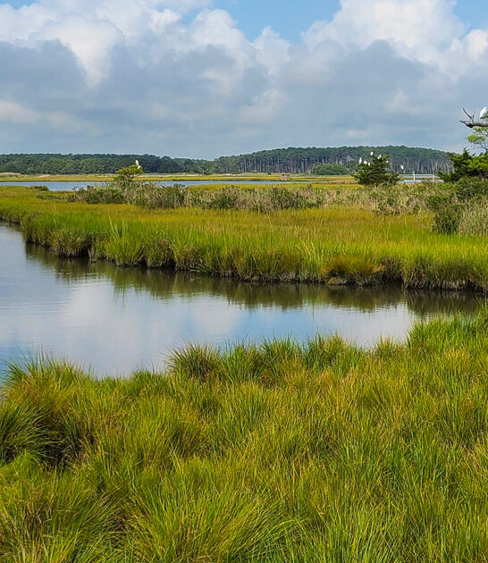 state park delaware ftr