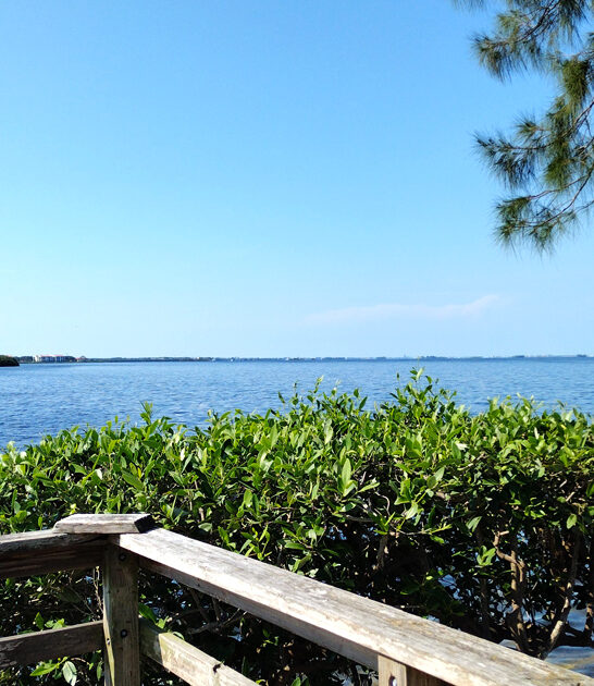 state park delaware nature ftr