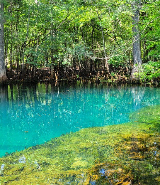 state park dreamy florida ftr