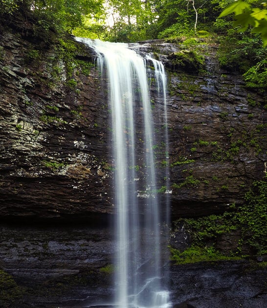 state park dreamy georgia ftr