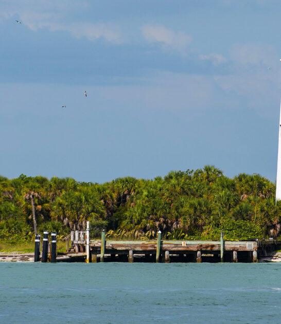 state park florida dreamy ftr