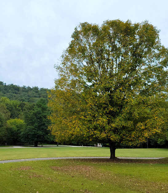 state park maryland getaway FTR