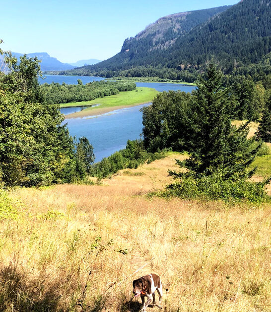 state park oregon gorgeous ftr