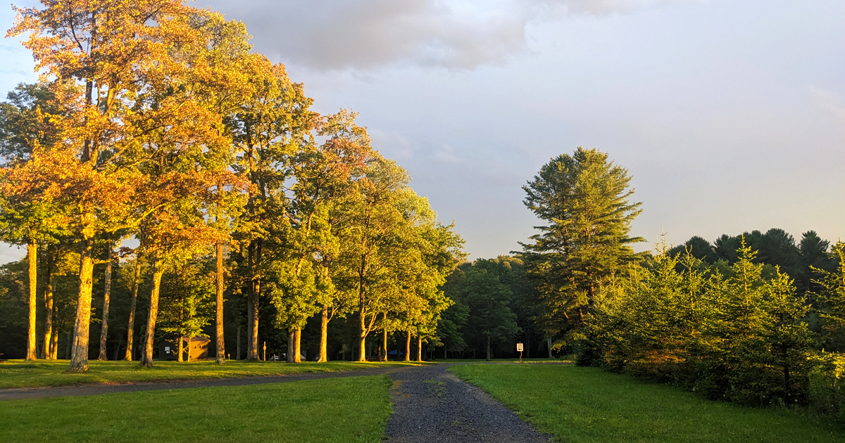 This Stunning State Park In Pennsylvania Is The Perfect Place To ...