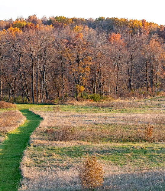 state park wisconsin dreamy ftr
