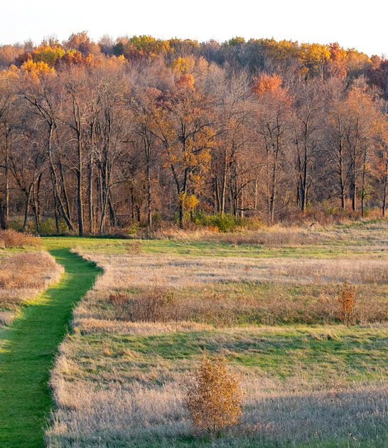 state park wisconsin peaceful ftr