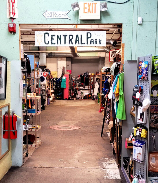 store georgia bargain hunting ftr