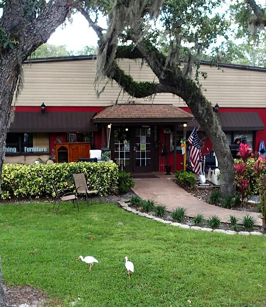 store rare treasures florida ftr