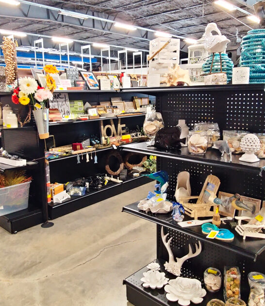 store treasures florida gigantic ftr