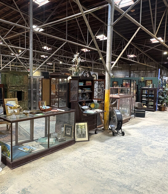 stores north carolina rare ftr