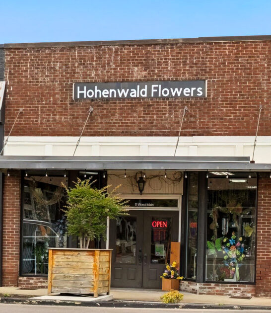 stress free town tennessee ftr