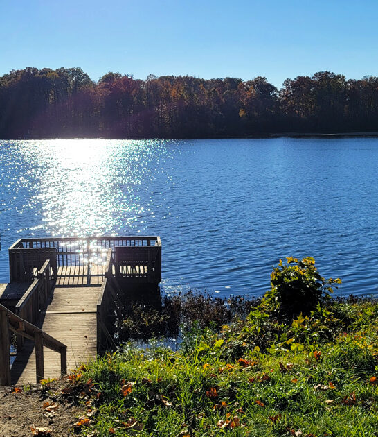 stunning natural park ohio ftr