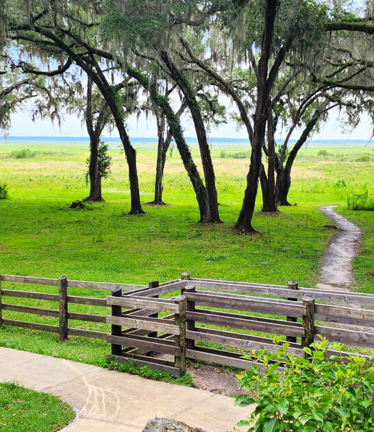 stunning nature florida park ftr