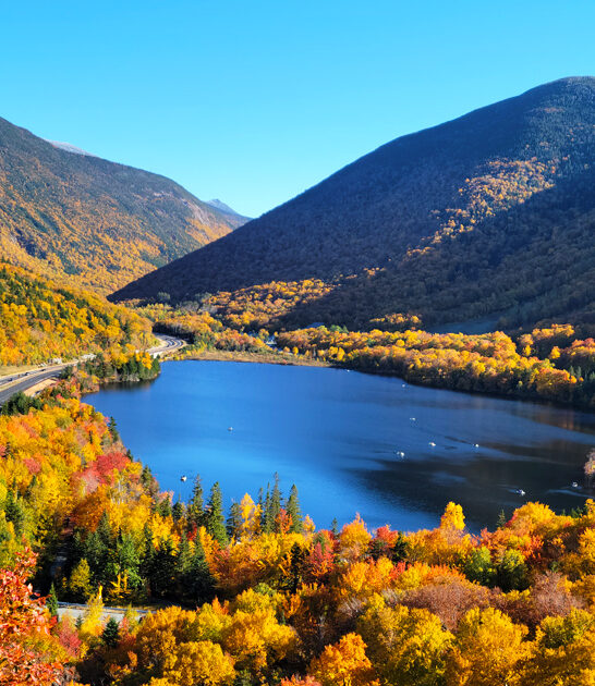 stunning new hampshire park ftr