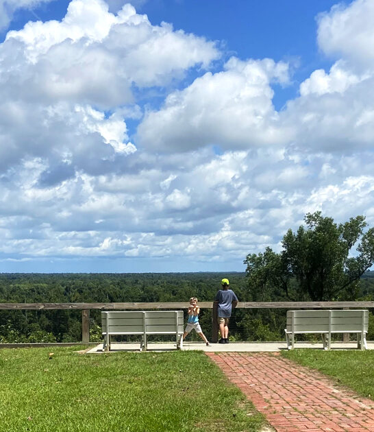 stunning postcard florida park ftr