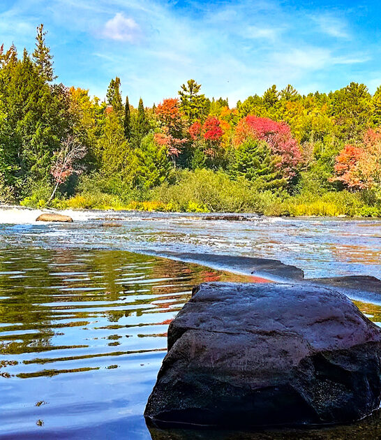 stunning state michigan exists ftr