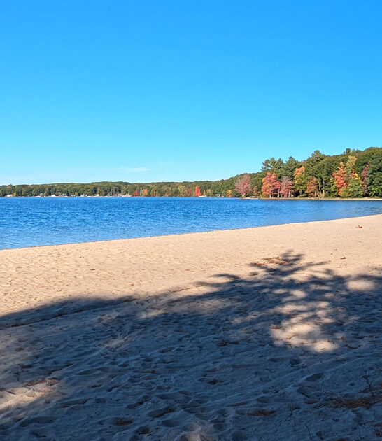 stunning underrated michigan park ftr