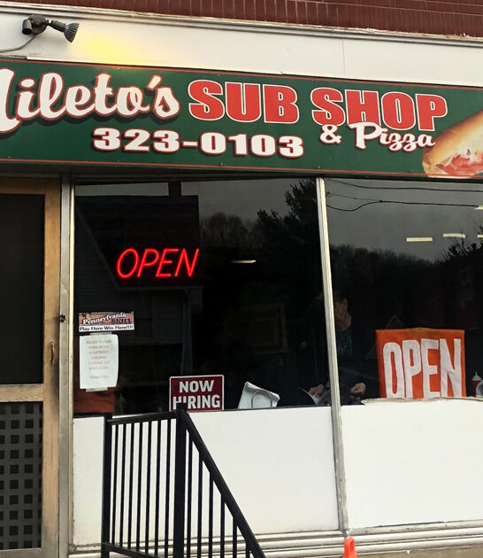 sub shop pennsylvania pizzas ftr