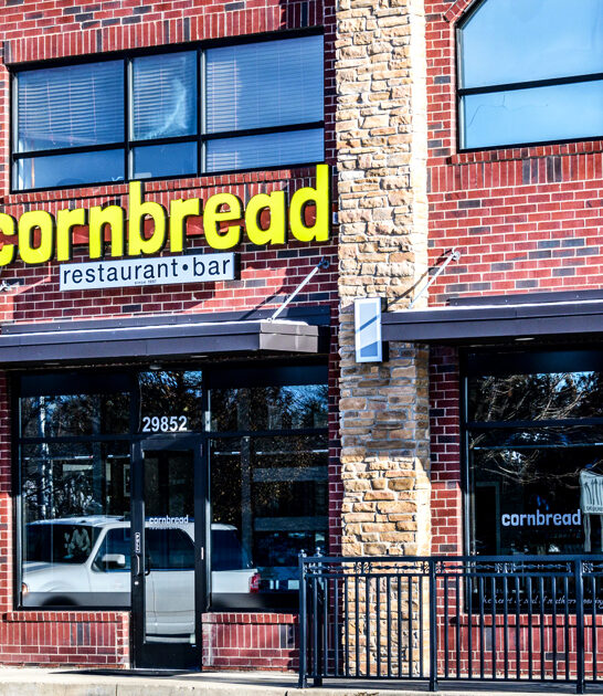 succulent chicken restaurants michigan ftr