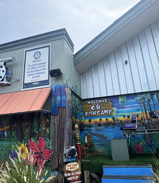 succulent florida catfish sandwich ftr