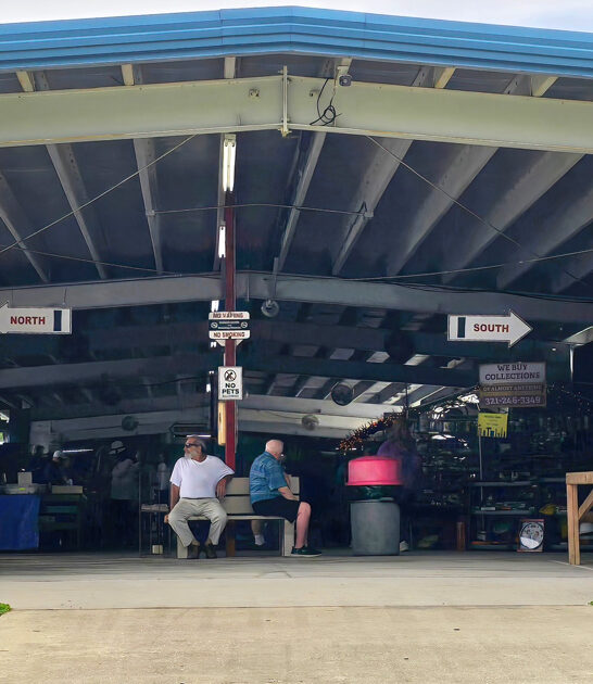 swap meet affordable florida ftr