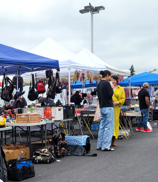 swap meet california drive ftr