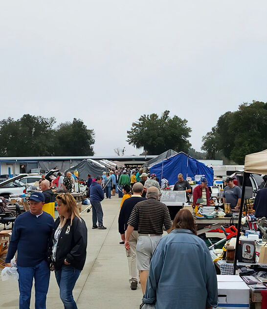 swap meet florida bargains ftr