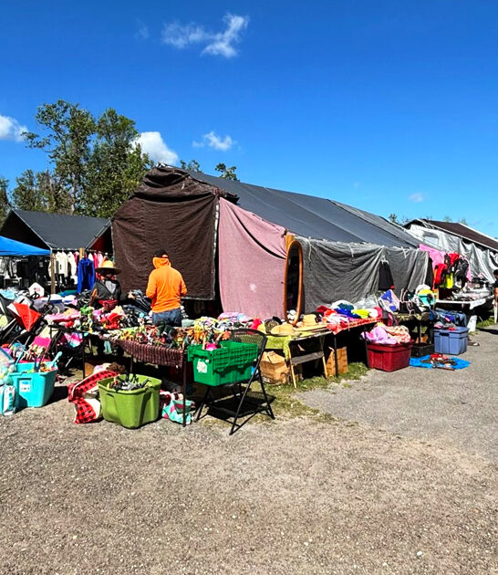 swap meet true florida ftr