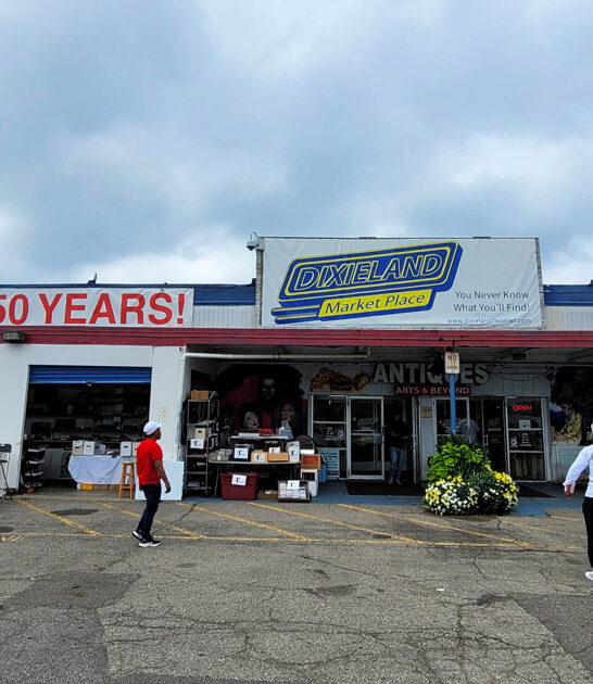 swap meets michigan treasures FTR