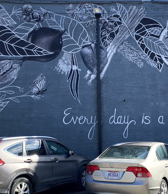 sweet potato hash ohio ftr