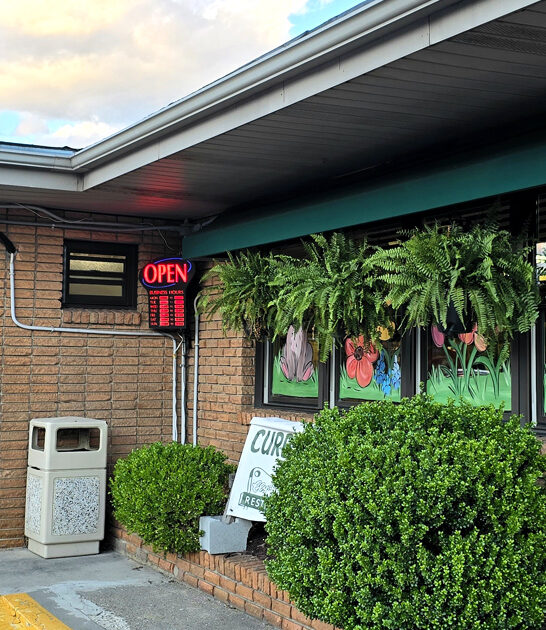 taste north carolina diner ftr